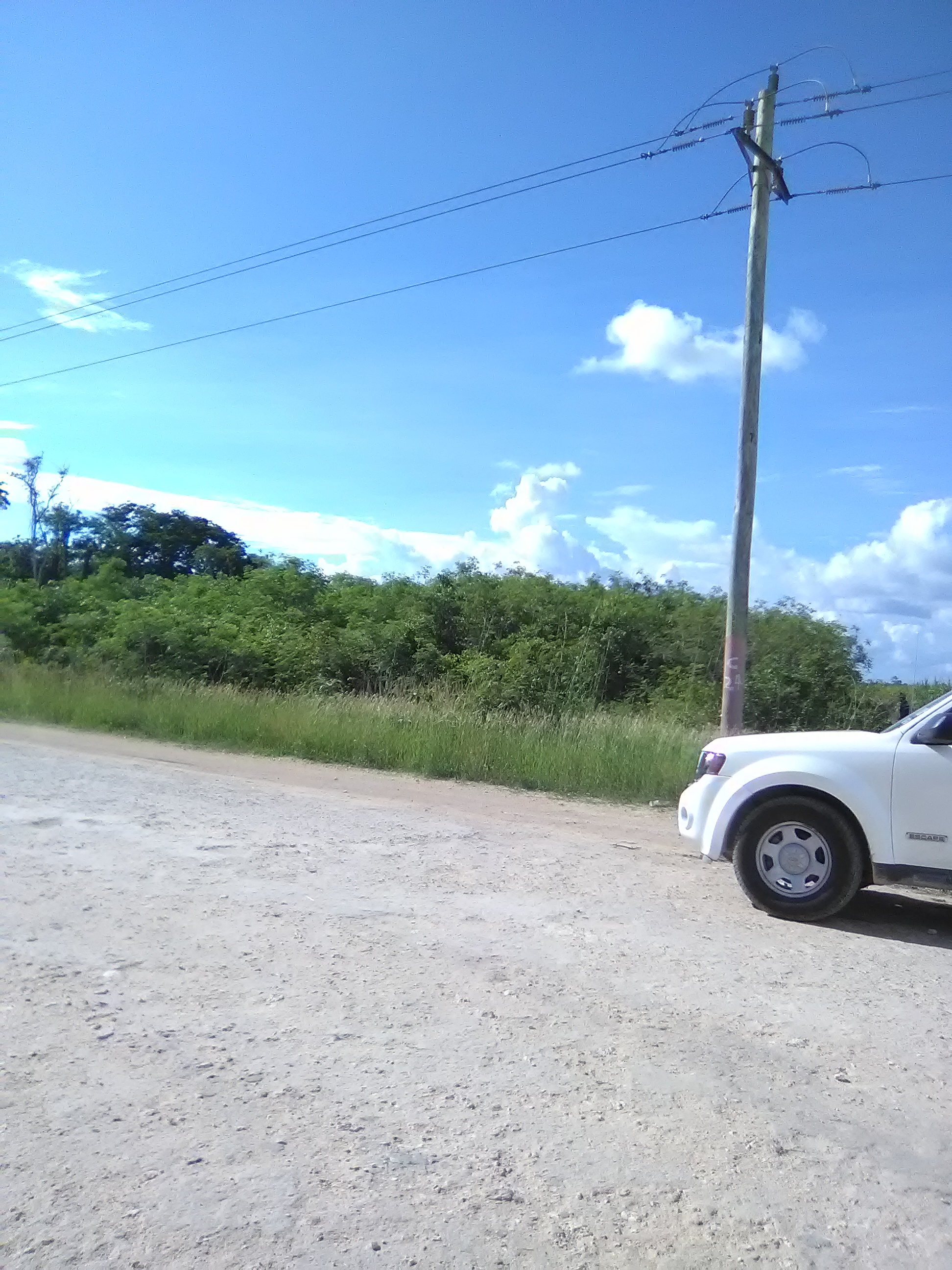 Belmopan Real Estate Listings